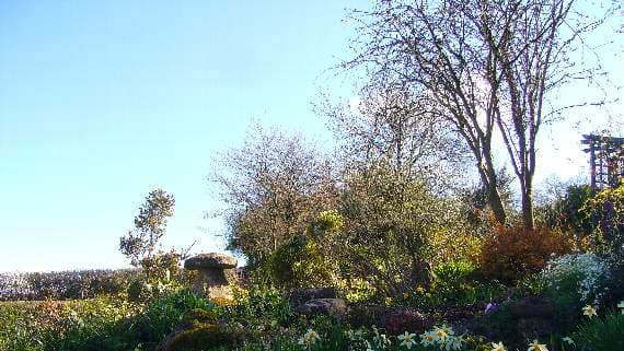 Rose Cottage to open for Gardens Scheme | mnrjournal.co.uk