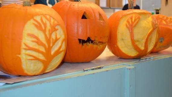 Pumpkins help Light up the Night | mnrjournal.co.uk