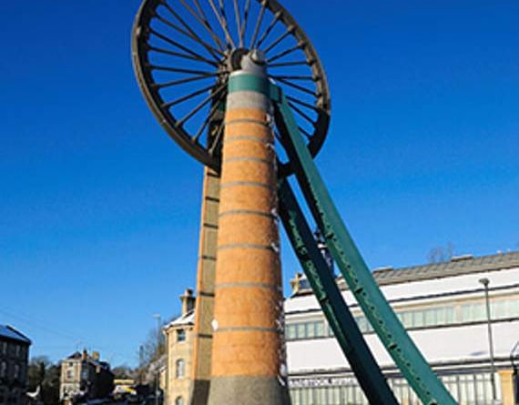 Where to plant a Jubilee Tree? | mnrjournal.co.uk