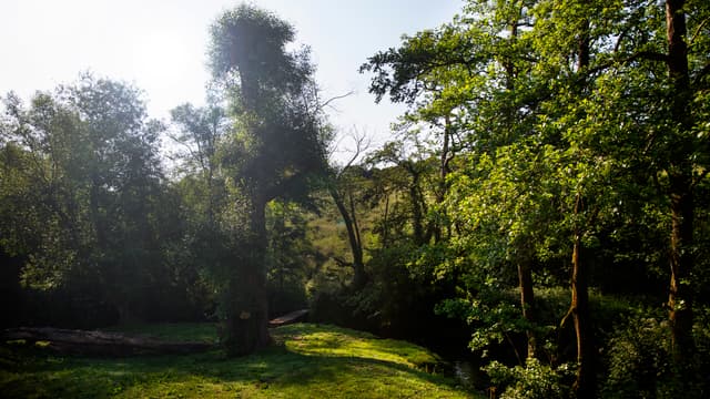 Somer Valley to benefit from ten new community projects | mnrjournal.co.uk