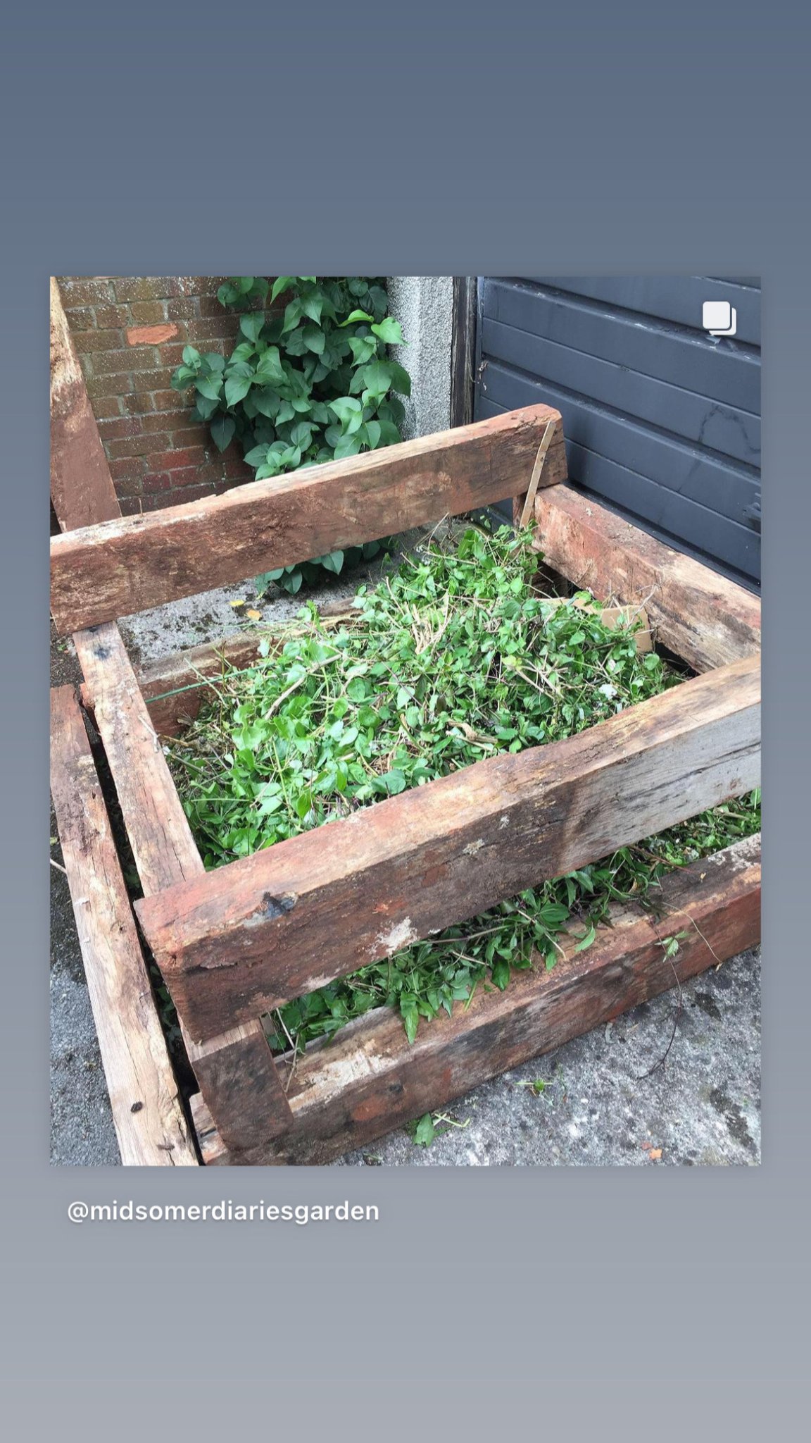 An art, rather than a science: Midsomer Diaries Garden resident ...