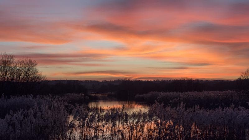 Norton Radstock Photographic Society welcome judgements for Picture of ...