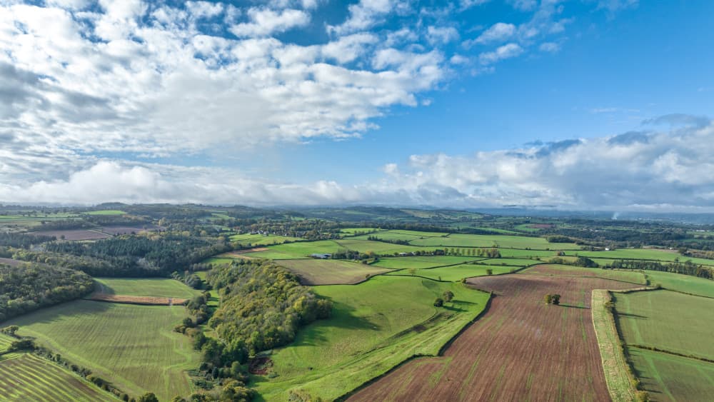 Avon Needs Trees secures land for South West’s largest new woodland in ...