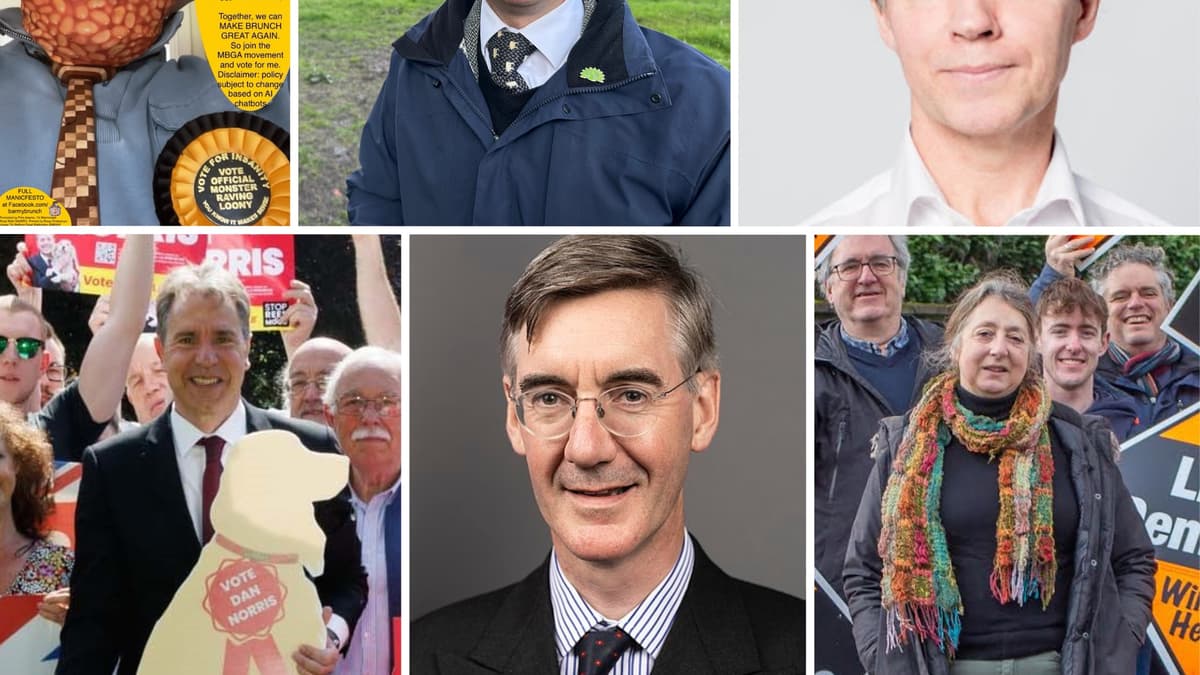 General Election 2024 in North East Somerset - candidates on why they ...
