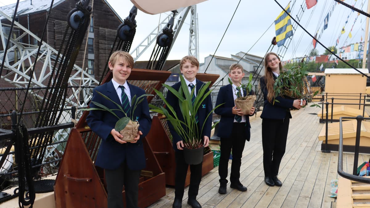 Writhlington School students plant precious orchids on the weather deck ...