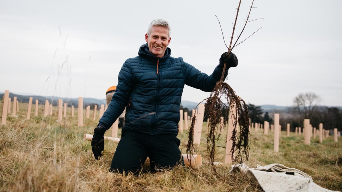 Record breaking day of planting achieved by Avon Needs Trees ...