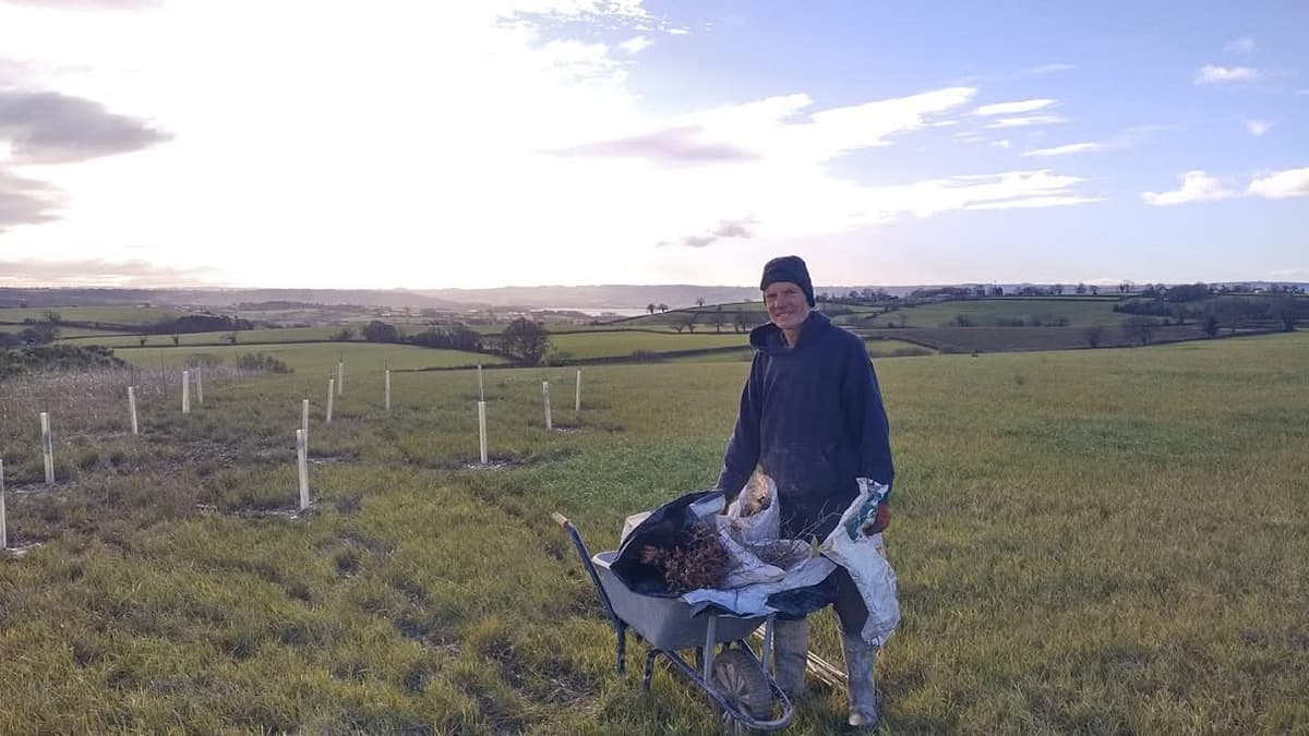 Chew Valley Plants Trees - Farmland to woodland? | mnrjournal.co.uk