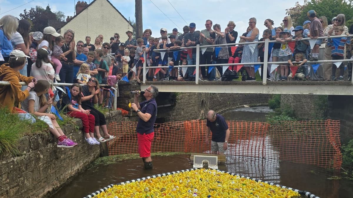 Ready, steady, duck as the annual Chew Magna Duck Race takes to the ...