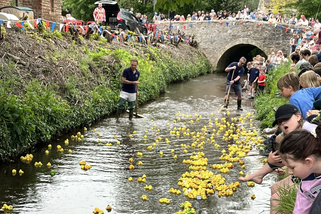 Ready, steady, duck as the annual Chew Magna Duck Race takes to the ...